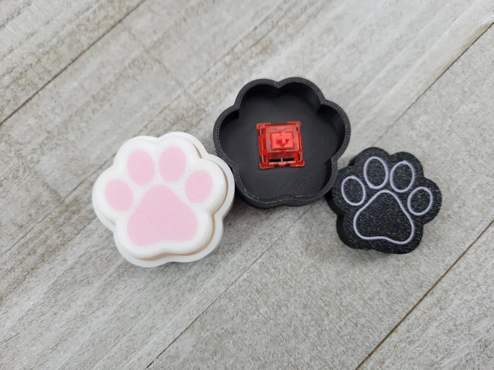 Paw Shaped Keyboard Fidget Clicker (Mechanical) - Free 3D Print Model ...