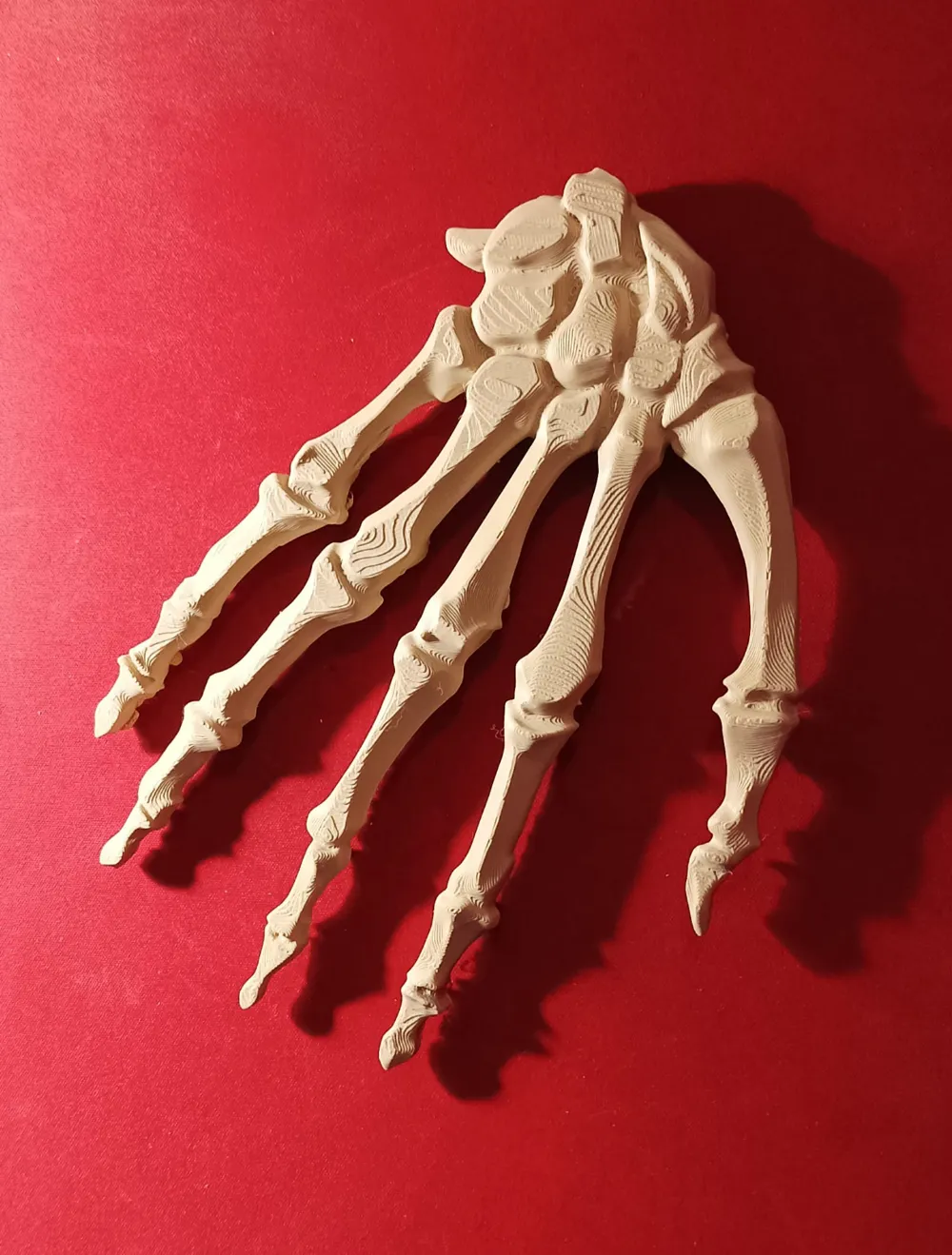 Bone hand, Skeleton by Mäusel MakerWorld: Download Free 3D Models