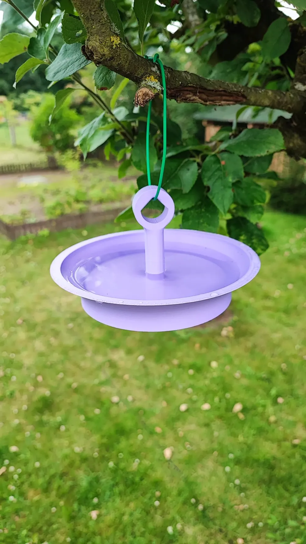 Bird Bath Insect Watering Station by daniel.rynduch MakerWorld ...