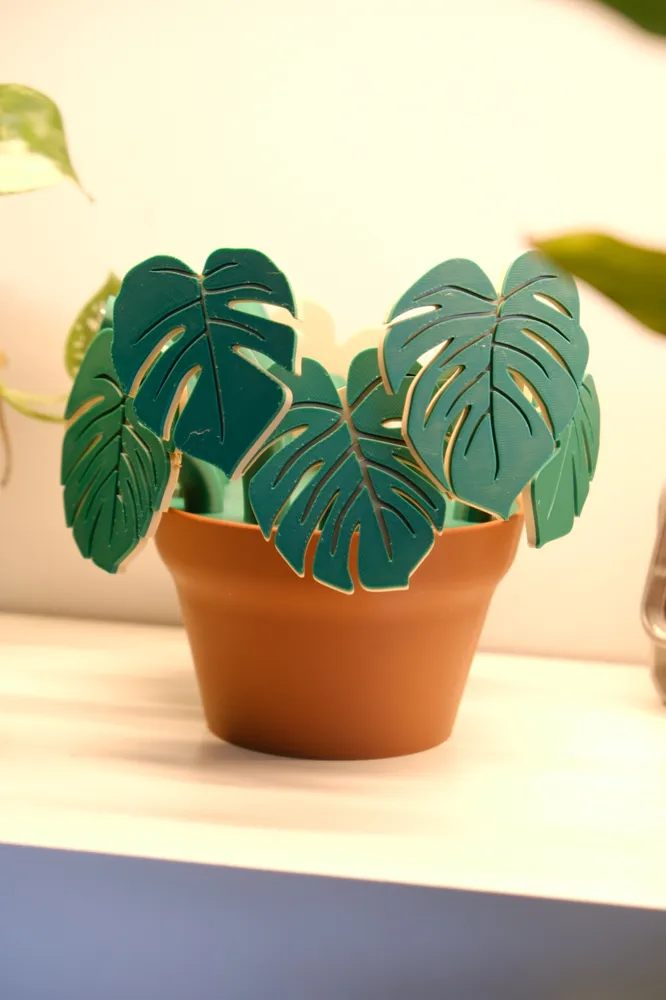 Monstera Magnet Set with Magnetic Plant and pot by Abstractia Design ...