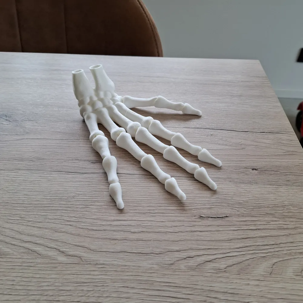 Skeleton - Hand by Thibault0502 MakerWorld: Download Free 3D Models