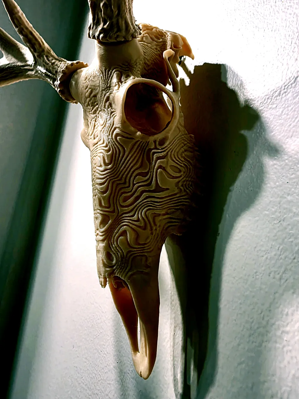Graphic Deer Skull - Topographic - BAS Mount - Free 3D Print Model ...