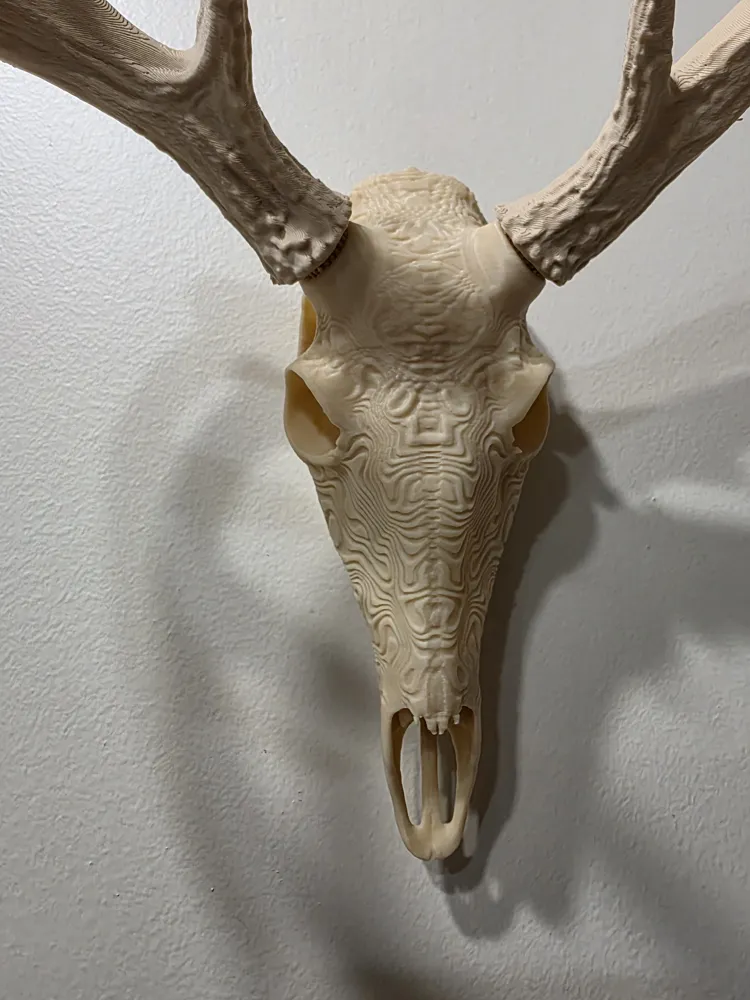 Graphic Deer Skull - Topographic - BAS Mount - Free 3D Print Model ...