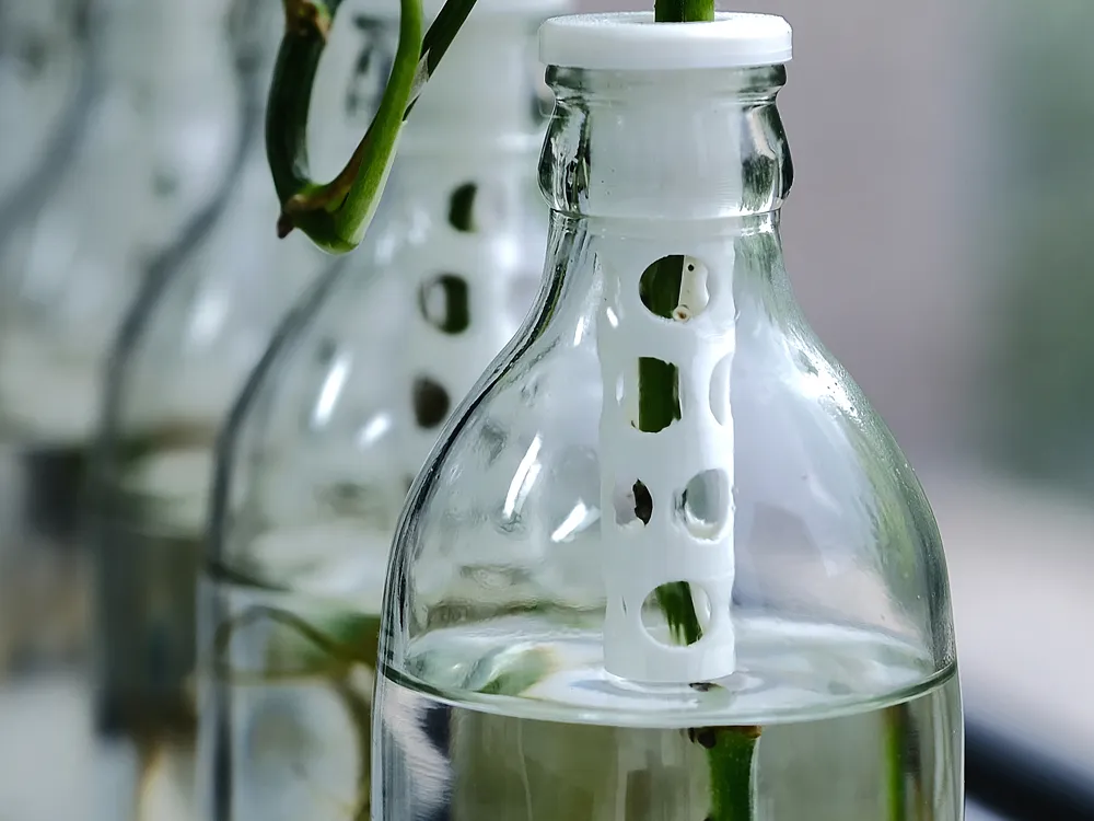 CHANG Thai Elephant Soda Bottle Hydroponic Planter by Six Noses MakerWorld: Download Free 3D Models