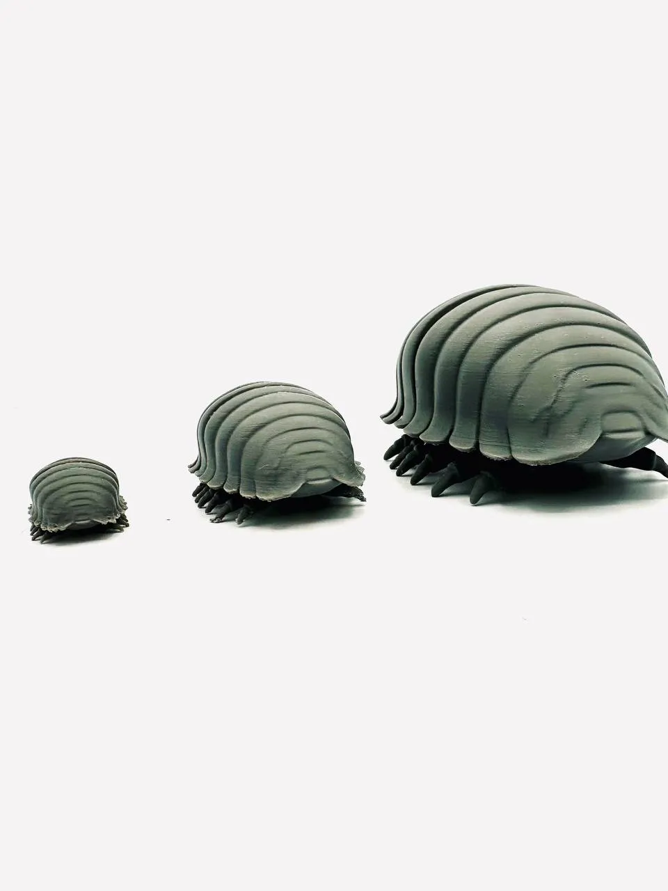 Cute Isopod by novYTerra🌿 MakerWorld: Download Free 3D Models