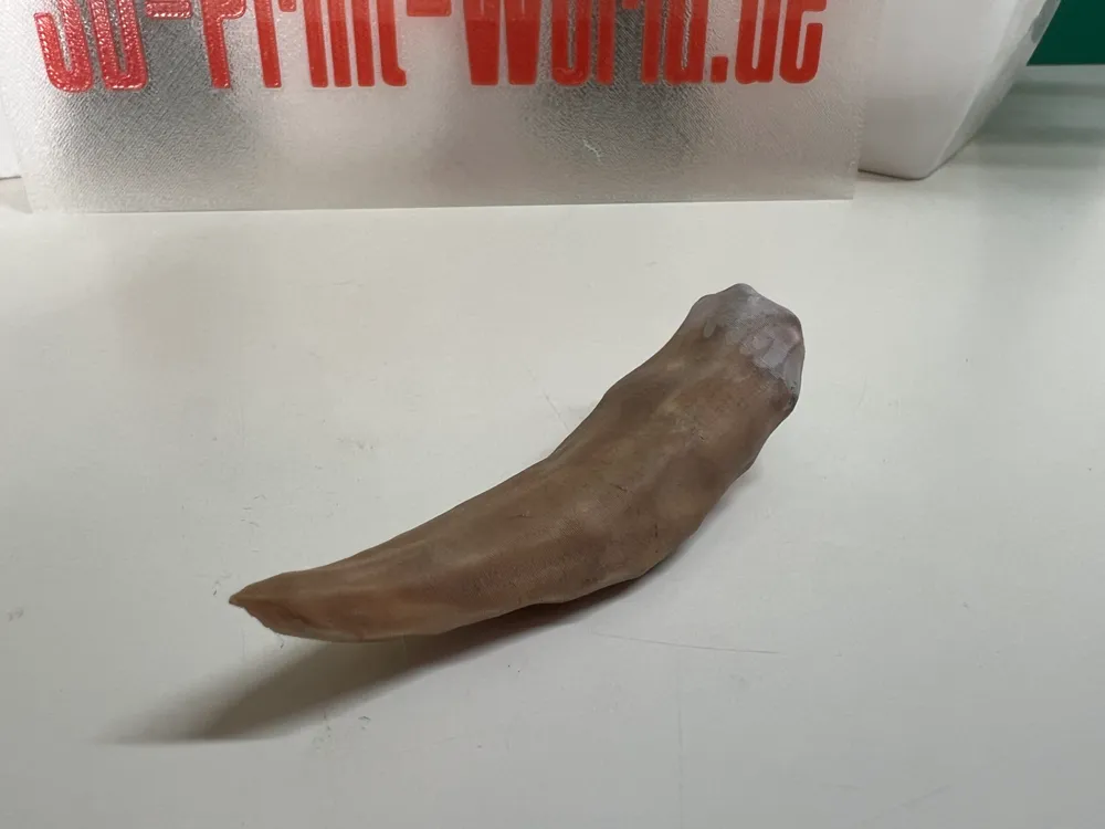 Crocodile Tooth 3D Model - Free 3D Print Model - MakerWorld