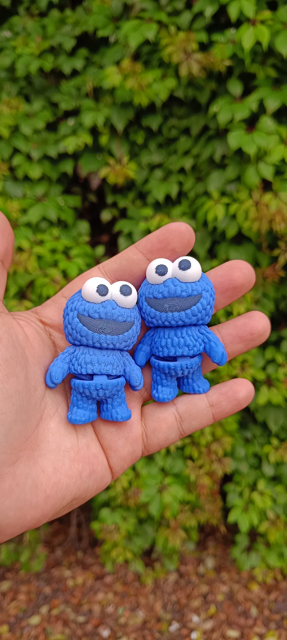 Flexi Cute - Cookie Monster by Voxel Studio MakerWorld: Download Free ...