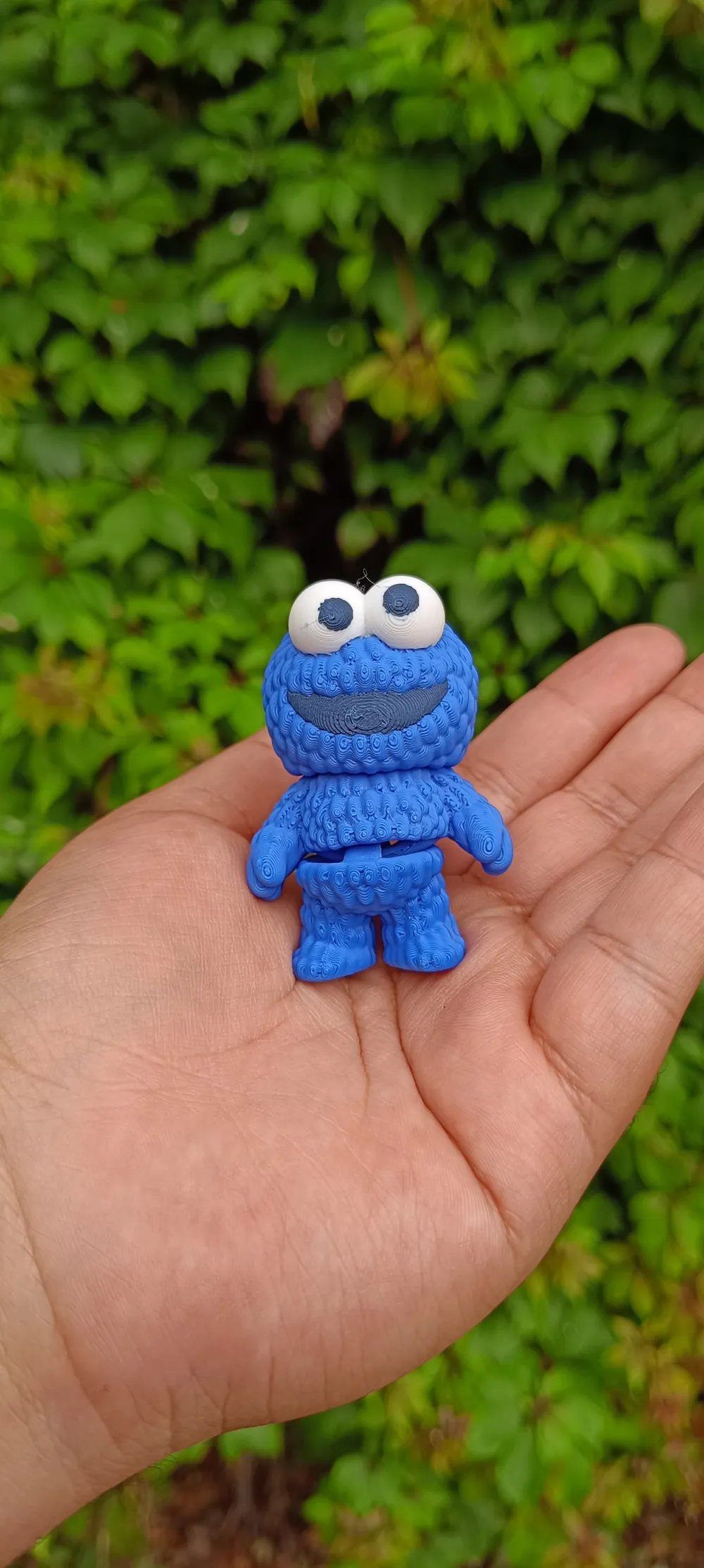 Flexi Cute - Cookie Monster by Voxel Studio MakerWorld: Download Free ...