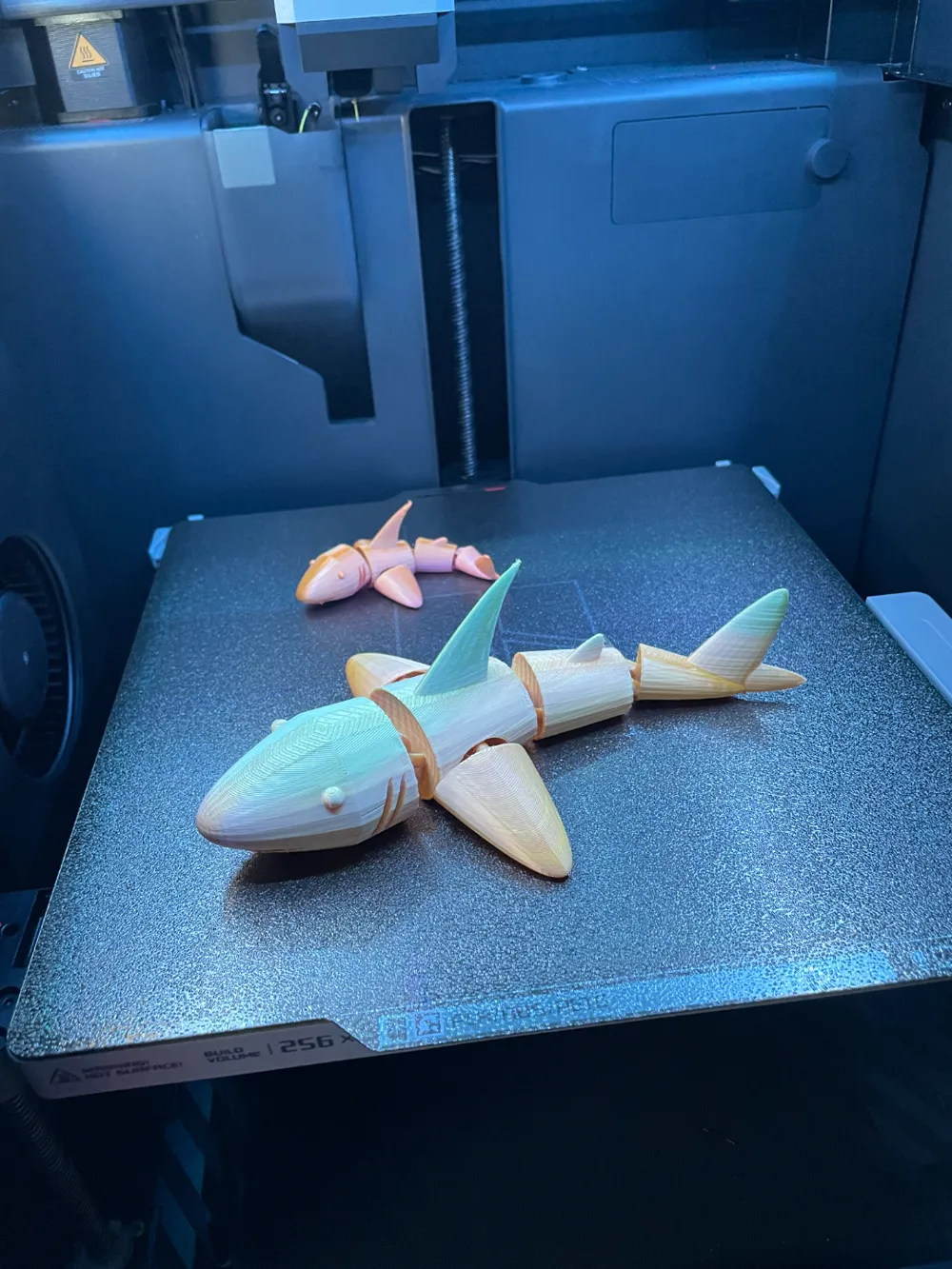 Articulated Shark by Rising Prints MakerWorld: Download Free 3D Models