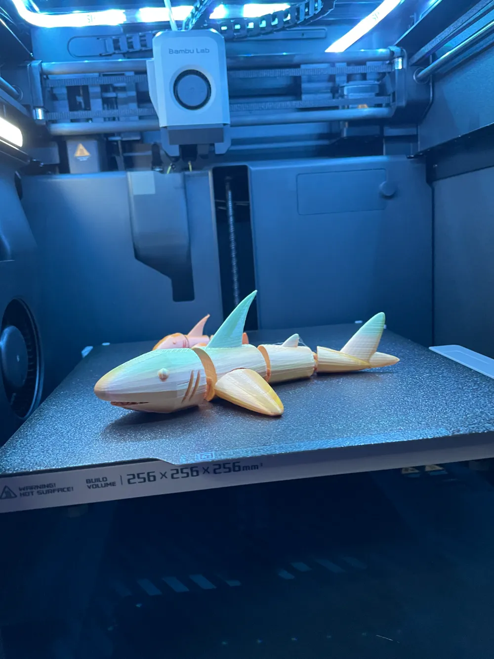 Articulated Shark by Rising Prints MakerWorld: Download Free 3D Models