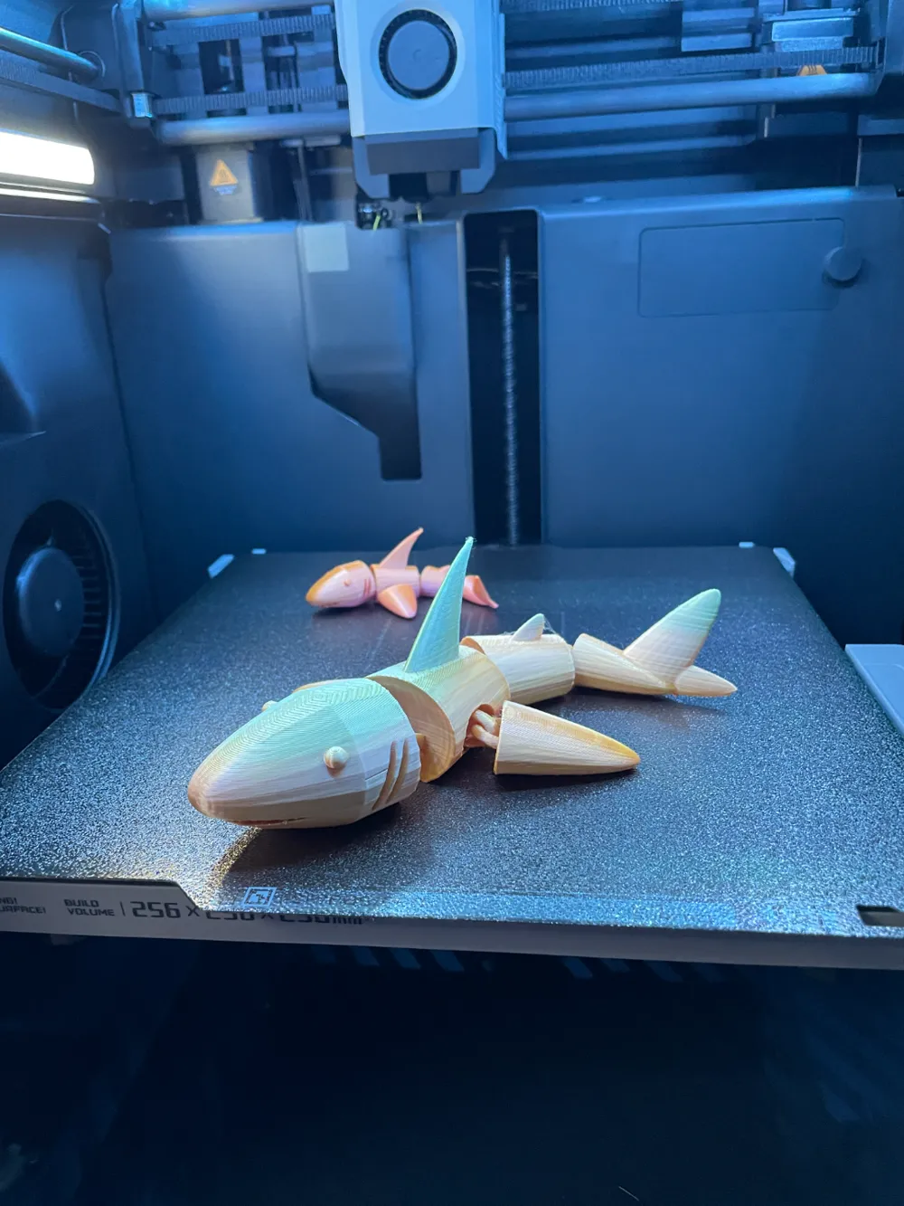 Articulated Shark by Rising Prints - MakerWorld