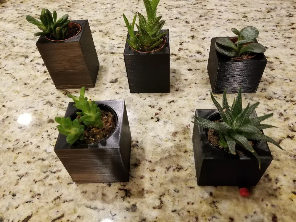 Succulent Planter Magnet Cubes by KtSlade - MakerWorld