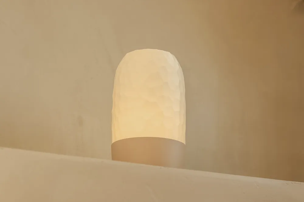 Table Lamp - with Bionic Pattern by JANBERRY DESIGN MakerWorld ...