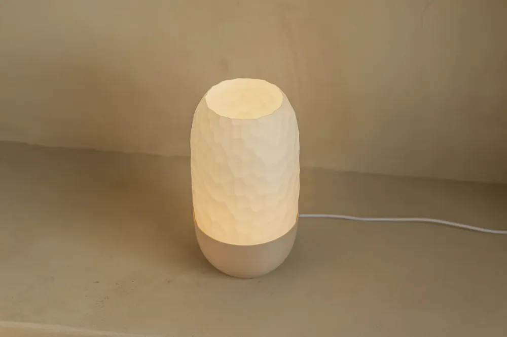 Table Lamp - with Bionic Pattern by JANBERRY DESIGN MakerWorld ...