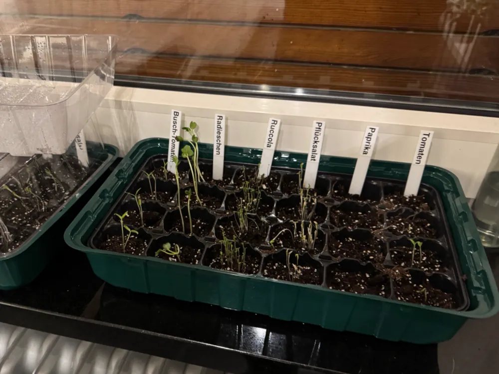 Labels for Seedlings - Parkside Propagation Box by Microsuck - MakerWorld