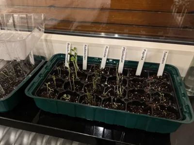 Labels for Seedlings - Parkside Propagation Box by Microsuck - MakerWorld