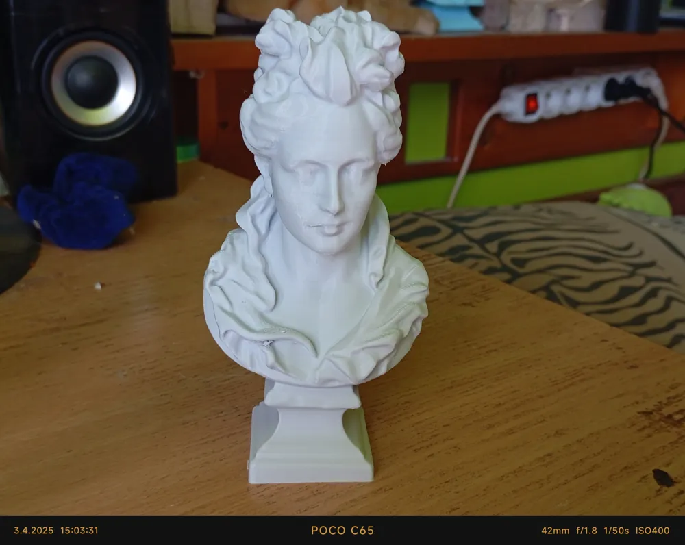 Bust of a beautiful woman by mc.vasek MakerWorld: Download Free 3D Models