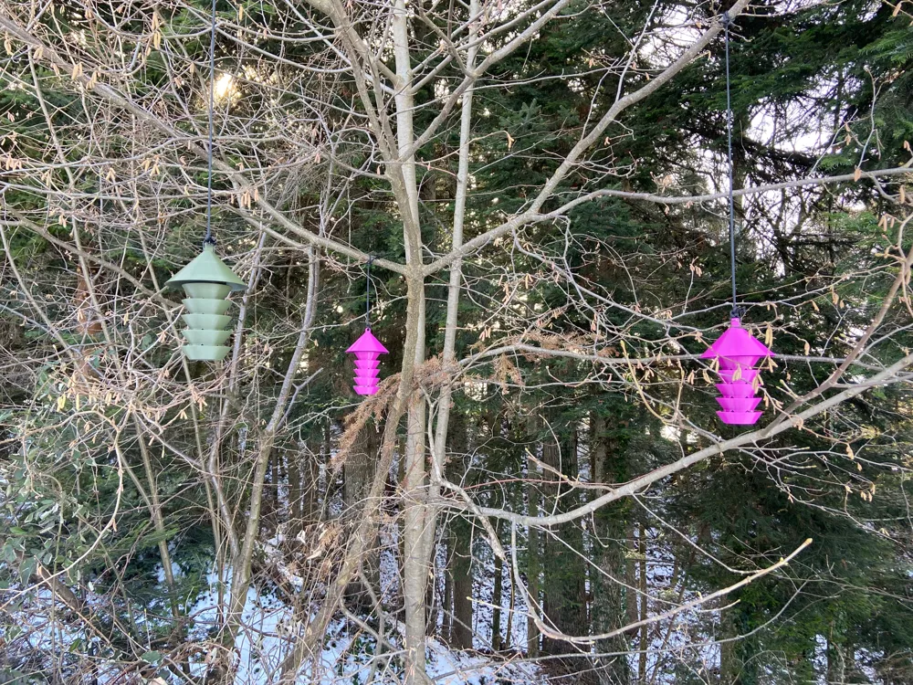 Bird Feeder for small birds - Free 3D Print Model - MakerWorld