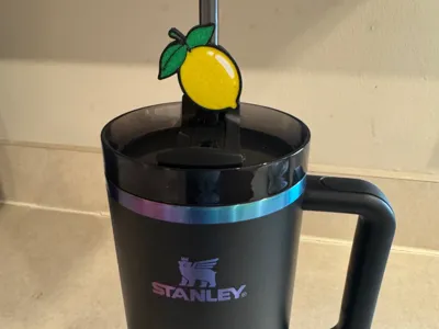 Stanley Straw Toppers | Collection - MakerWorld