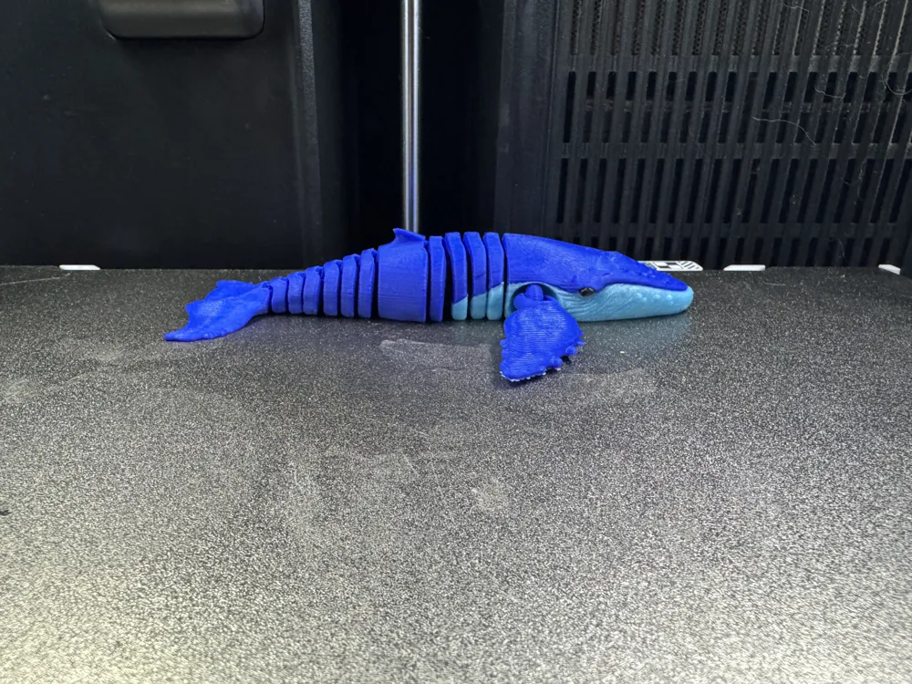 Timmy Hope – The little whale that wakes us up - Free 3D Print Model ...