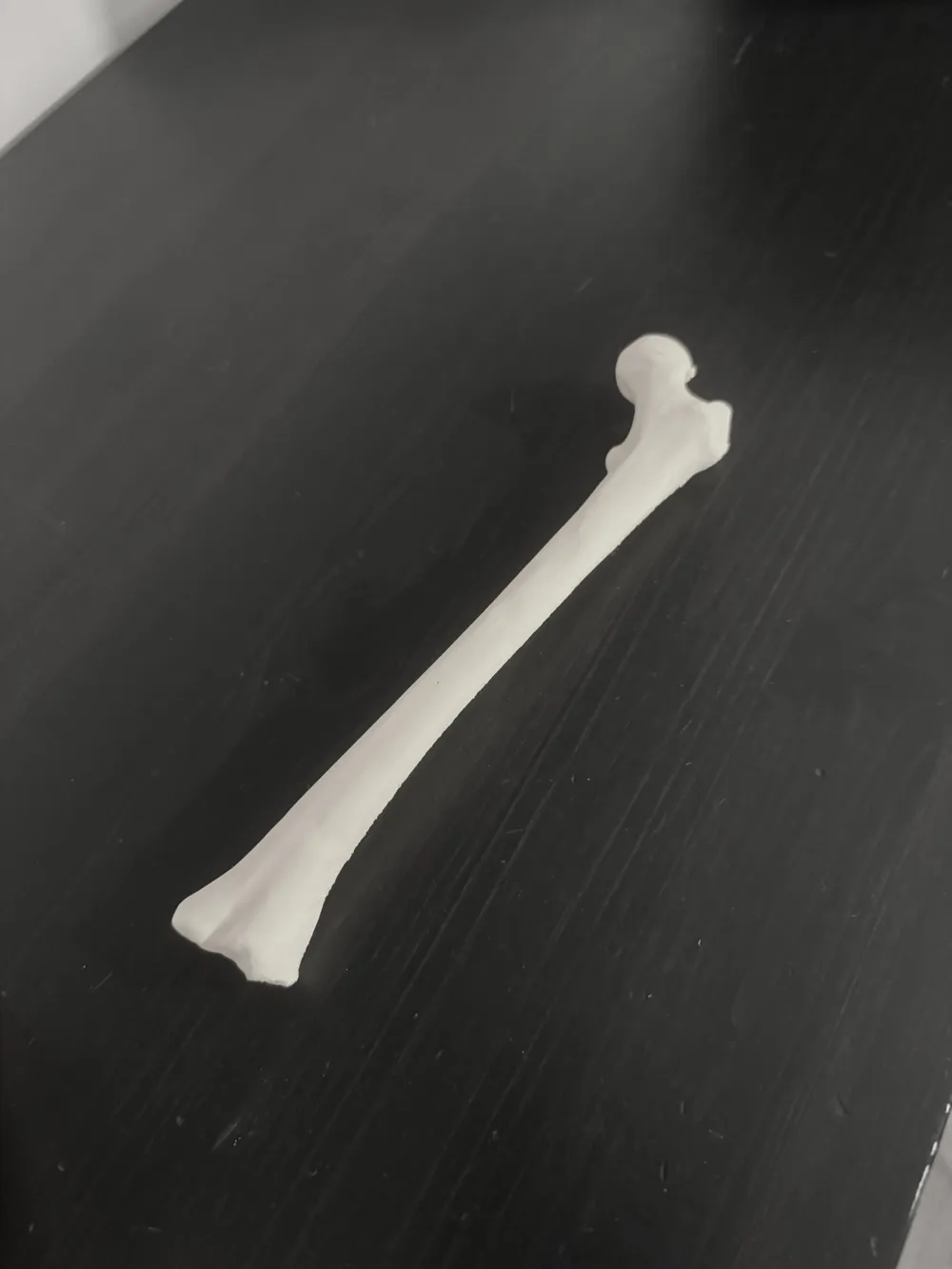 3D Femur – Scale 1:2 - Free 3D Print Model - MakerWorld