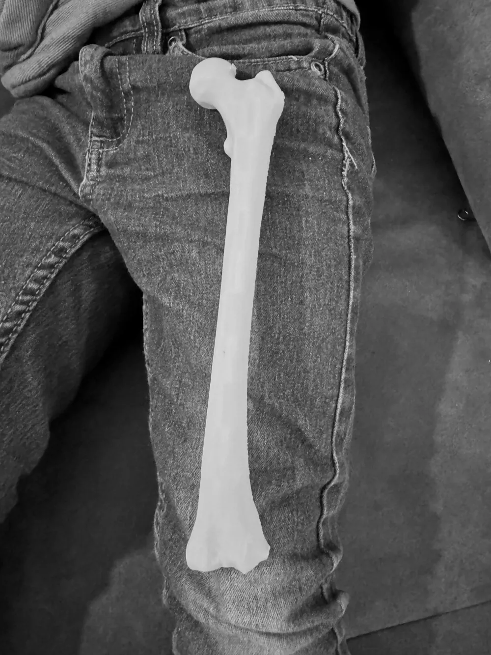 3D Femur – Scale 1:2 - Free 3D Print Model - MakerWorld