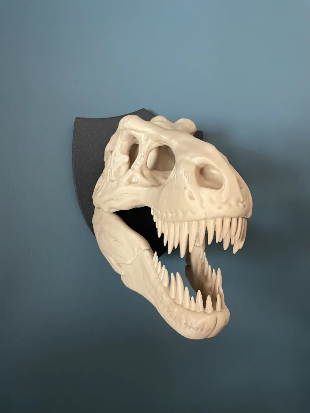 Shield Plate for T-Rex - Free 3D Print Model - MakerWorld