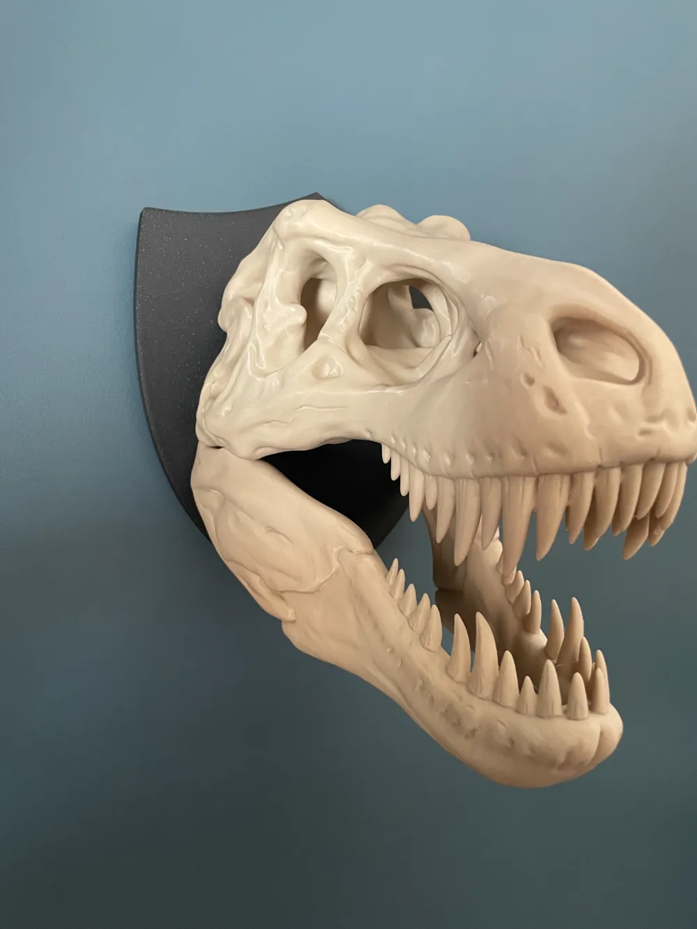 Shield Plate for T-Rex by OnEdgethingies - MakerWorld