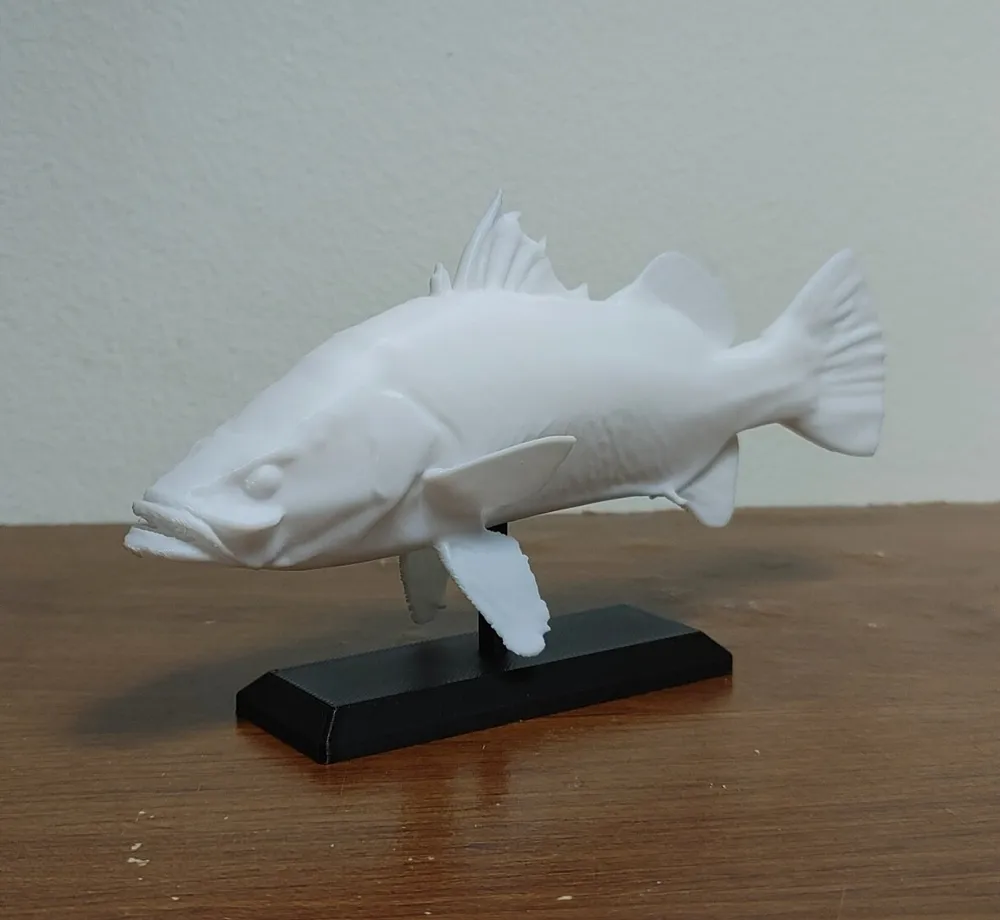 Barramundi Fish Mount - Free 3D Print Model - MakerWorld