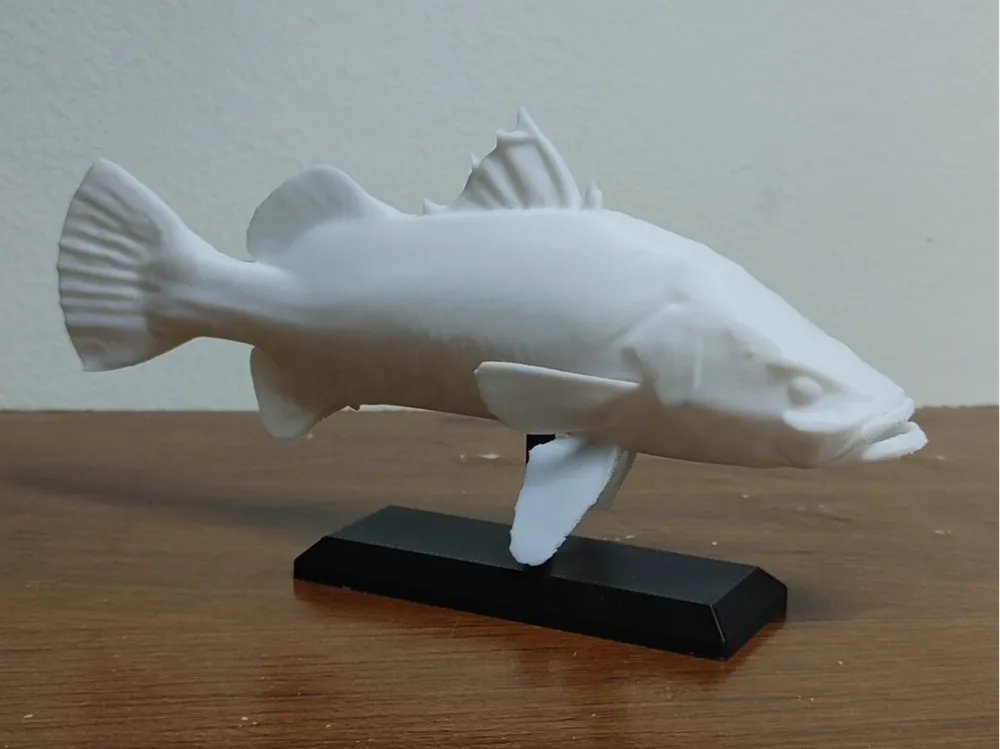 Barramundi Fish Mount - Free 3D Print Model - MakerWorld