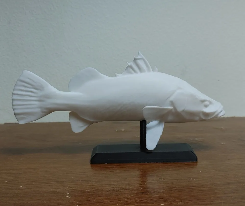 Barramundi Fish Mount - Free 3D Print Model - MakerWorld