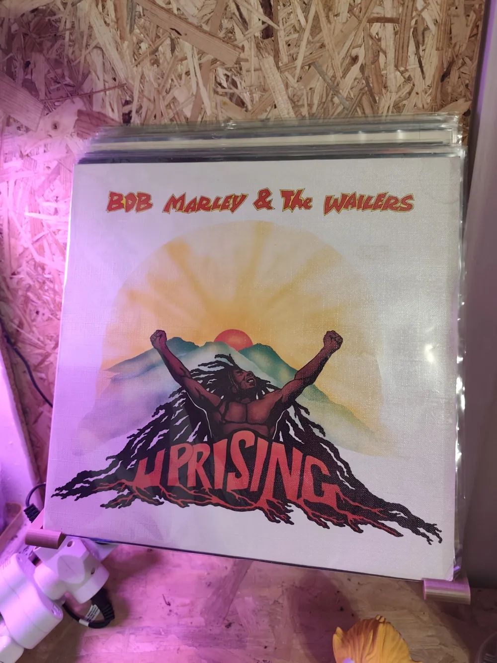 LP/Vinyl Record Shelf - Free 3D Print Model - MakerWorld