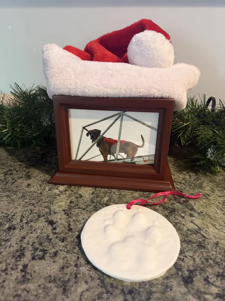 Dog Paw Christmas Ornament, Pet Paw Print Display - Free 3D Print Model ...