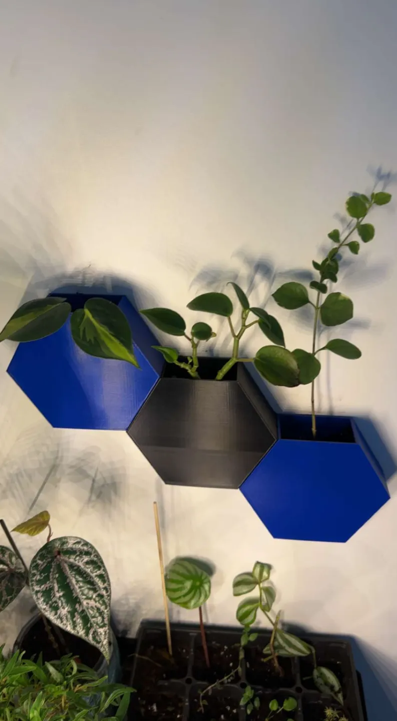 Hexagonal plant pot by abreton99 - MakerWorld