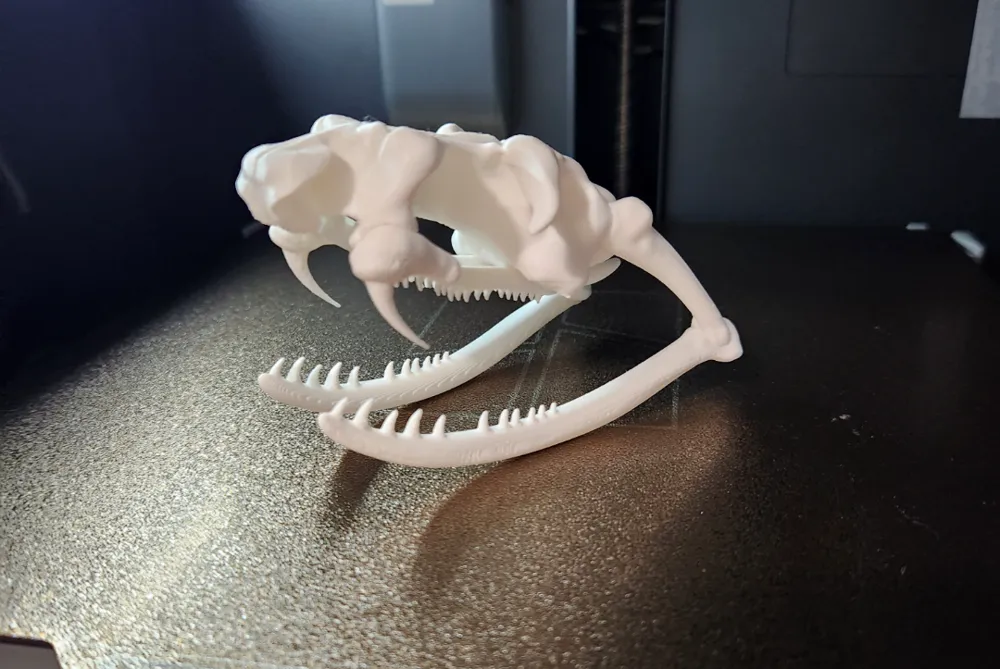 Snake Skull - Free 3D Print Model - MakerWorld