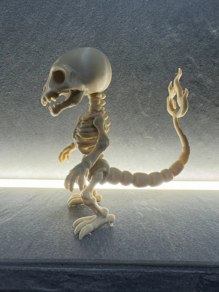 Charmander skeleton by Matto197 MakerWorld: Download Free 3D Models