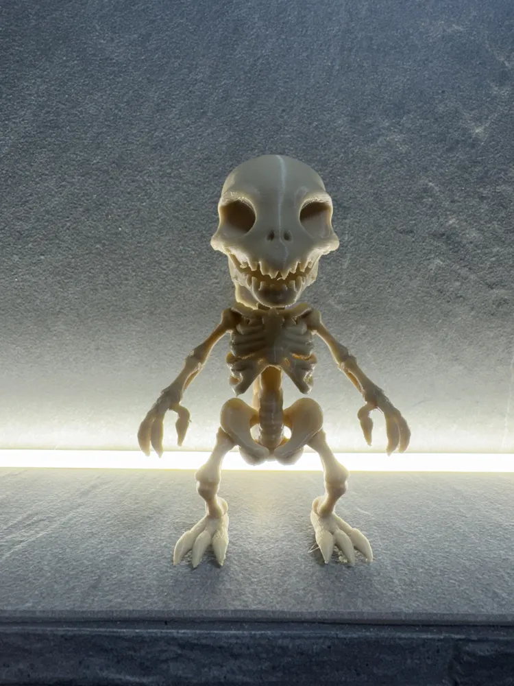 Charmander skeleton by Matto197 MakerWorld: Download Free 3D Models