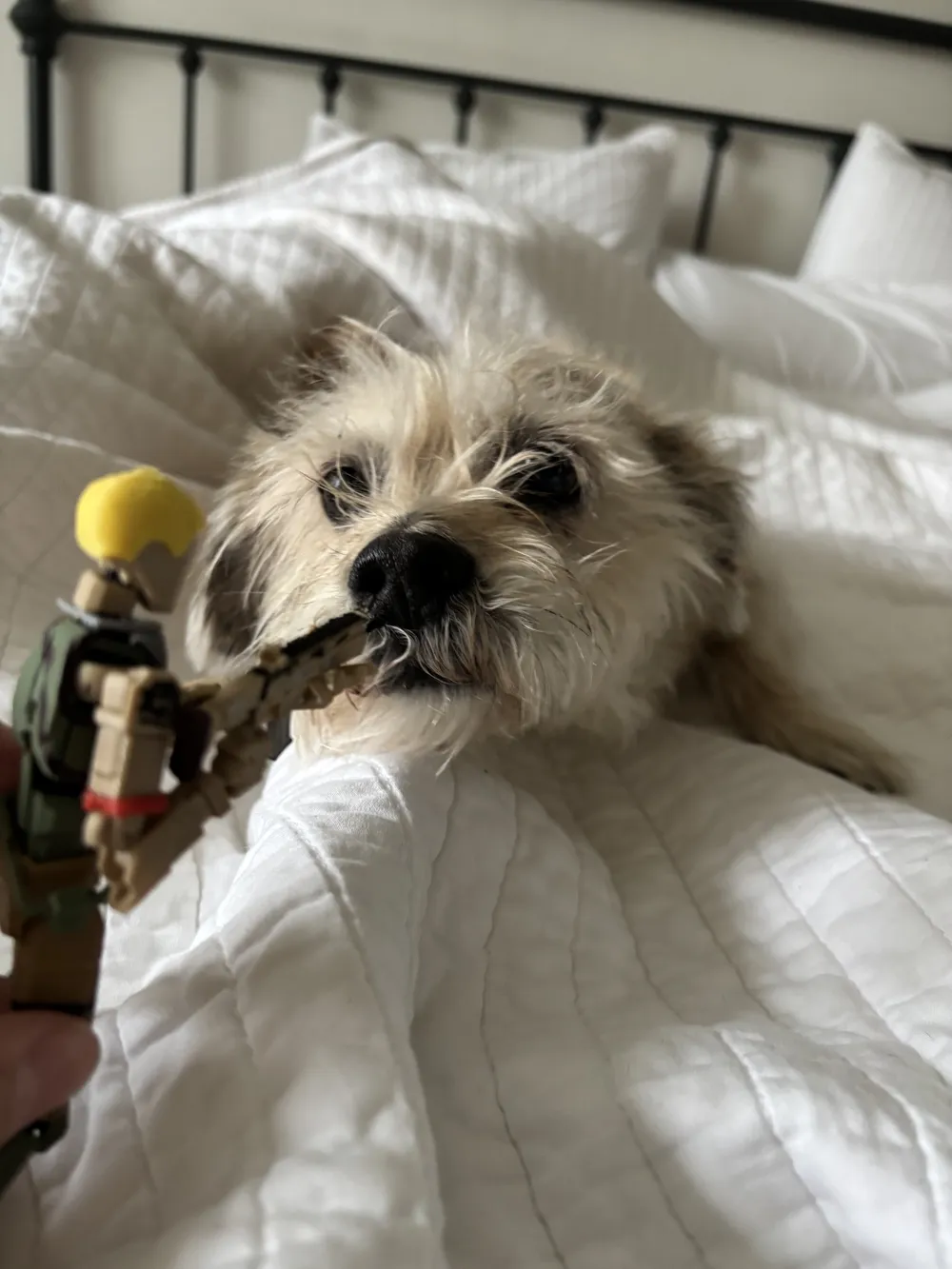 Fortnite Jonesy Dummy 13 (NO AMS) Remixed by Drewski MakerWorld: Download Free 3D Models