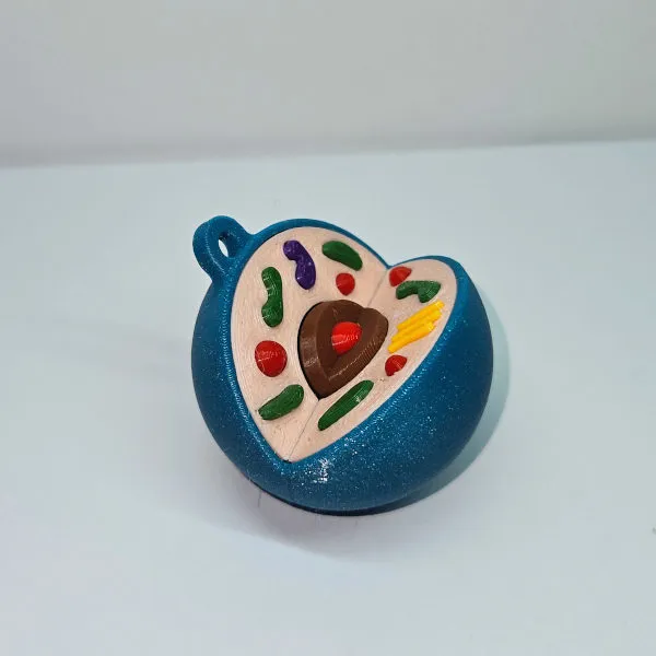 Human-cell keychain by 3DPZ - MakerWorld