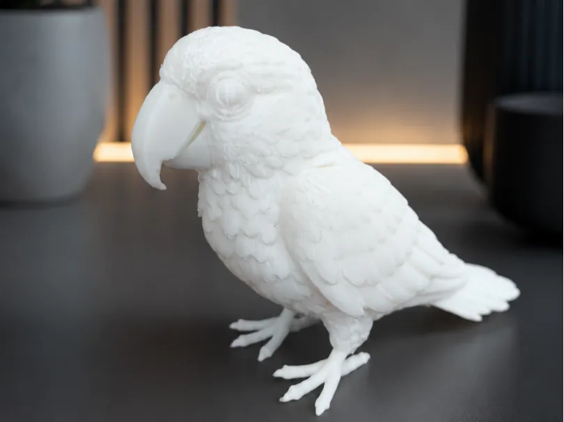 Parrot bird - Free 3D Print Model - MakerWorld