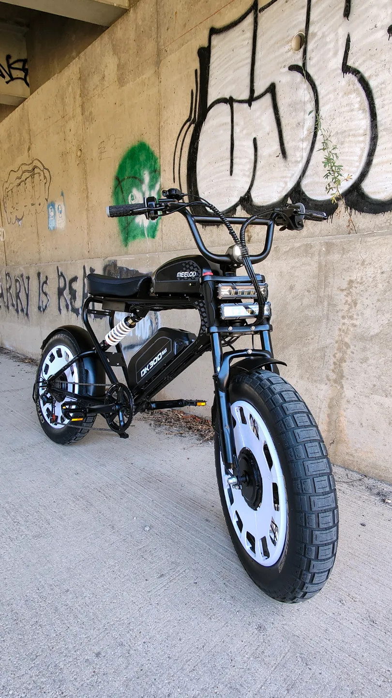 20 inch Ebike wheel disc covers Meelod Dk300 by Cerealnaut MakerWorld ...