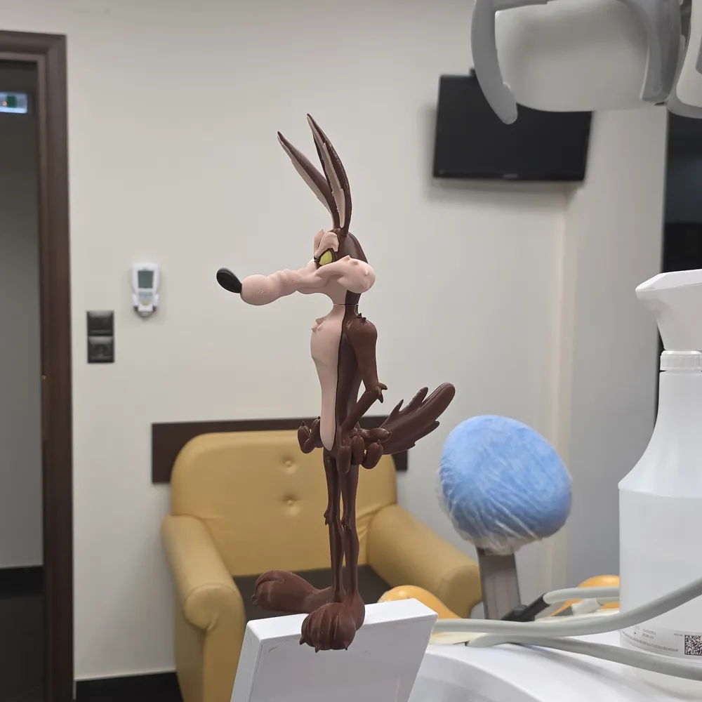 Wile E. Coyote-No AMS-Easy assembly by kos MakerWorld: Download Free 3D ...