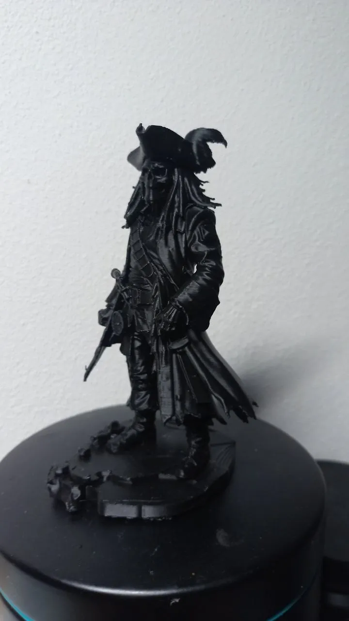 Plague Doctor Pirate – Detailed Collectible Figure - Free 3D Print ...
