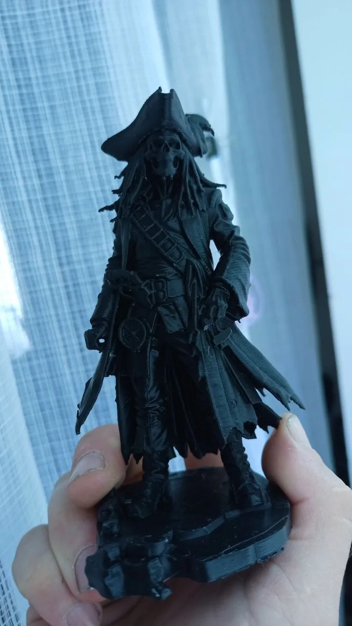 Plague Doctor Pirate – Detailed Collectible Figure - Free 3D Print ...