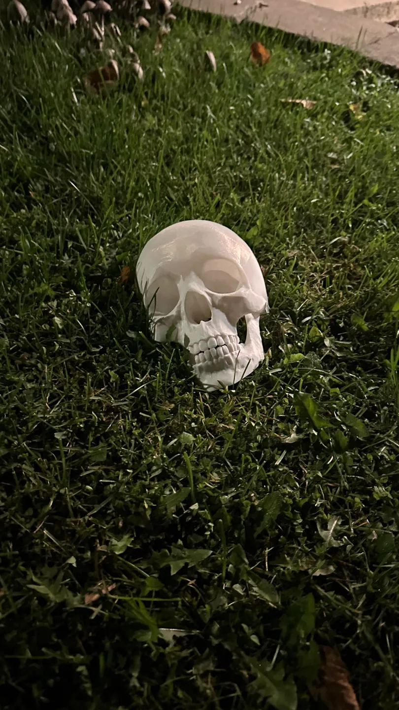 Halloween Garden Skull by Vincentbcd MakerWorld: Download Free 3D Models