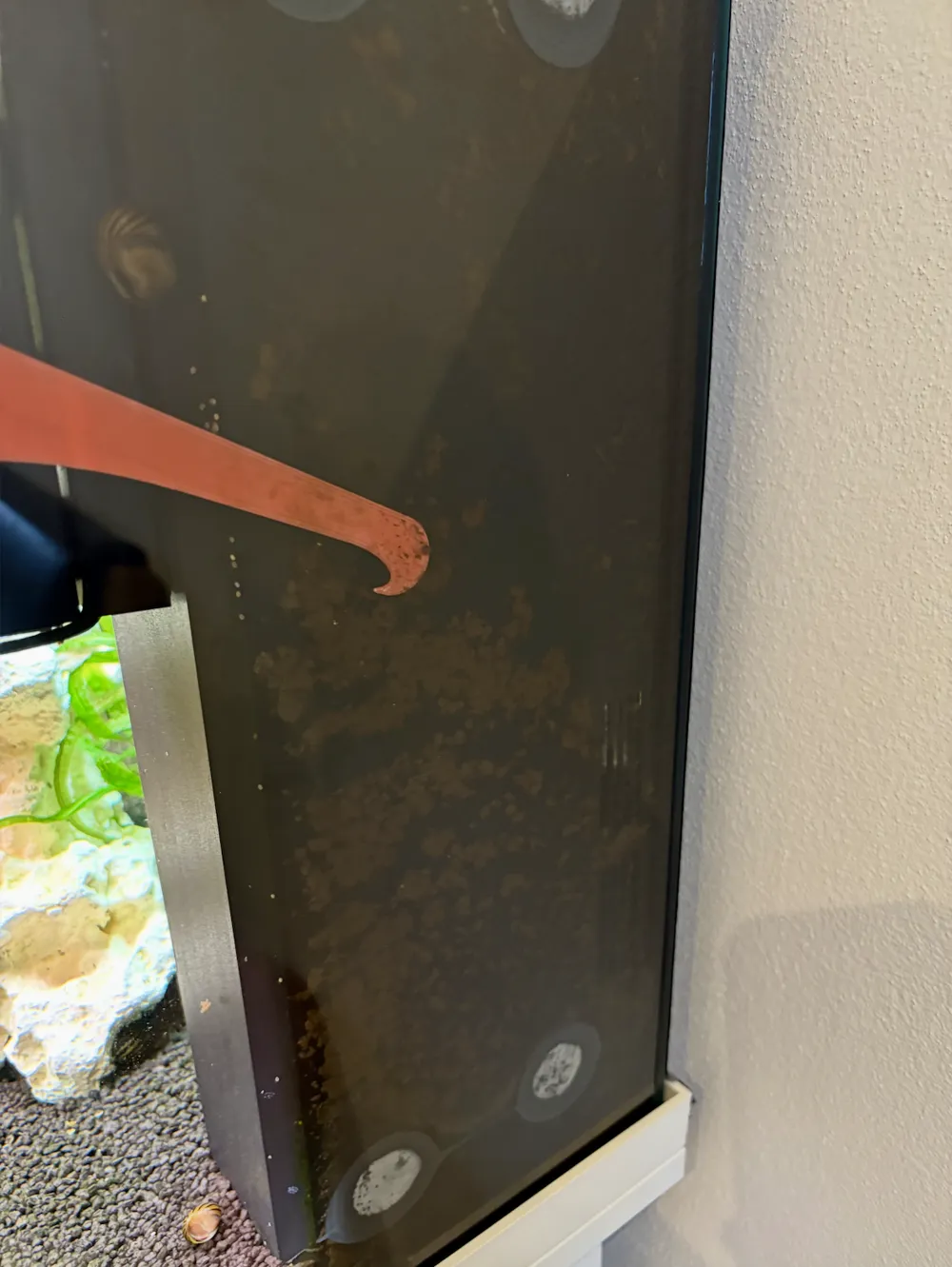 Juwel Aquarium Bioflow Filter Limpiador de excrementos por SmonSE ...