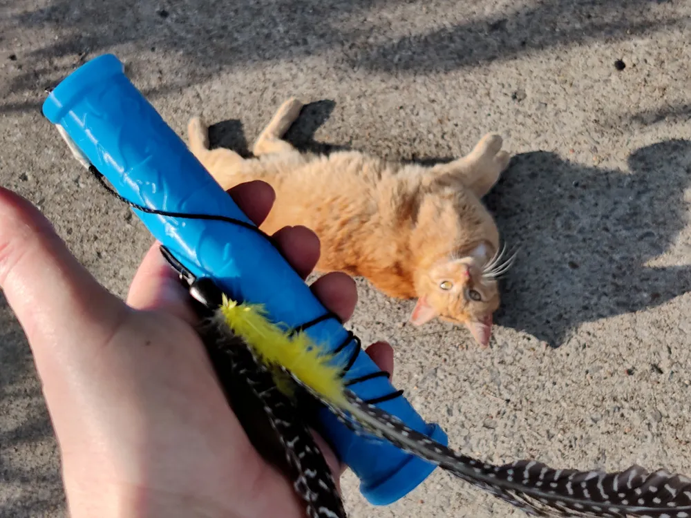 Telescoping Cat Saber - Retractable Cat Wand Toy! by YBlood - Tony ...