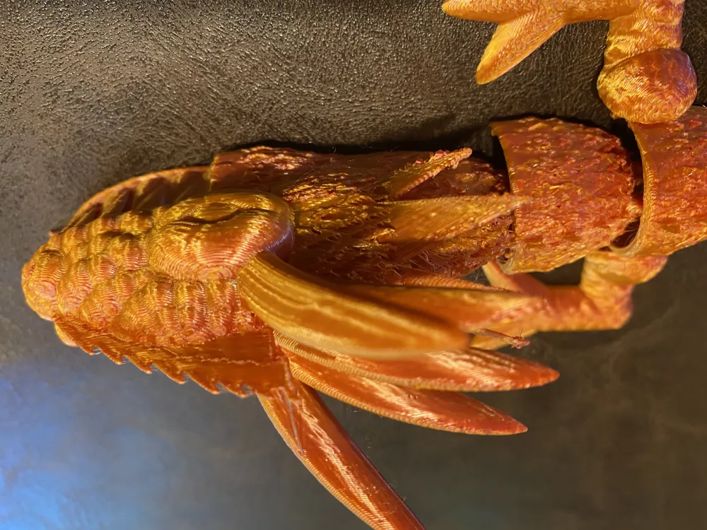 articulated dragon / fidget dragon by “useful” things MakerWorld ...