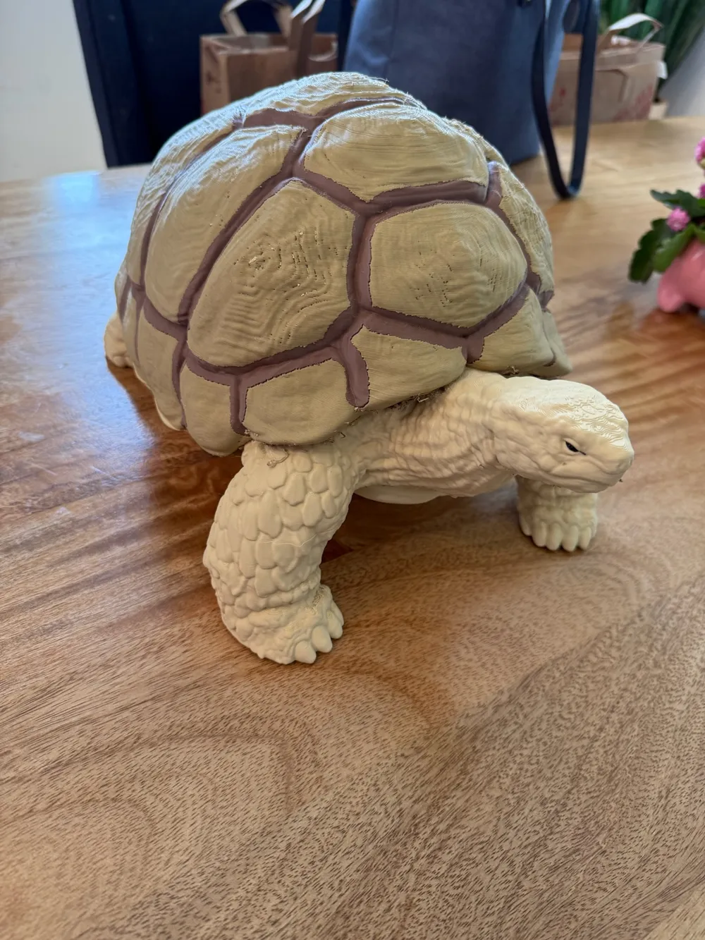 Giant Tortoise - High Detail by beach master MakerWorld: Download Free ...