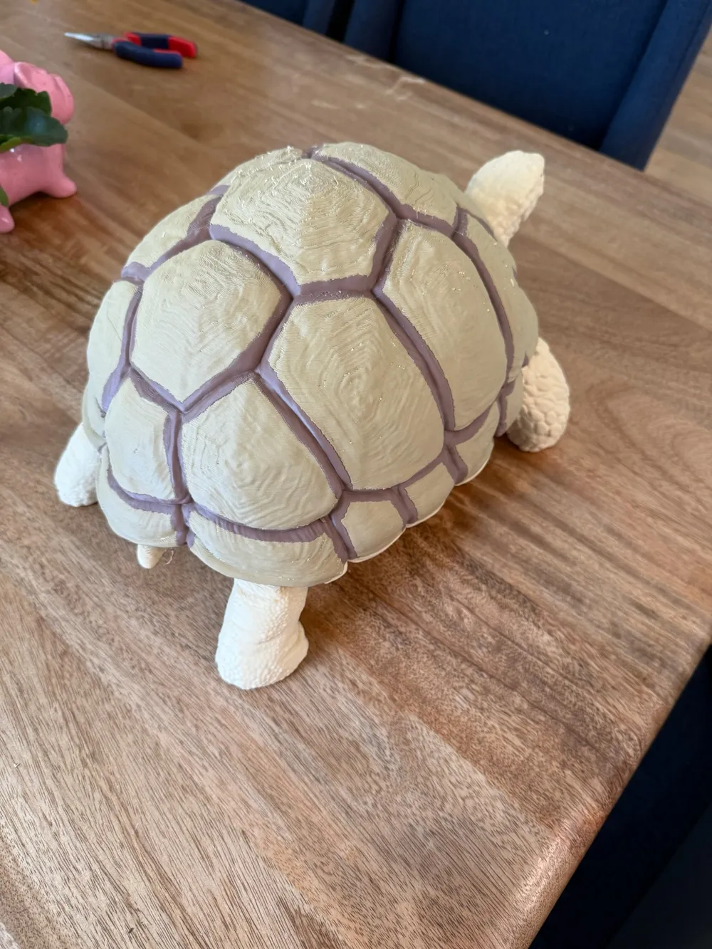 Giant Tortoise - High Detail by beach master MakerWorld: Download Free ...